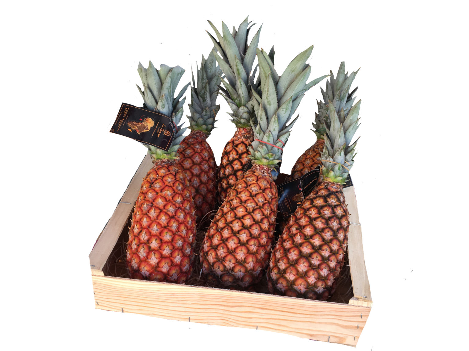 Ananas | Maison Jasserand