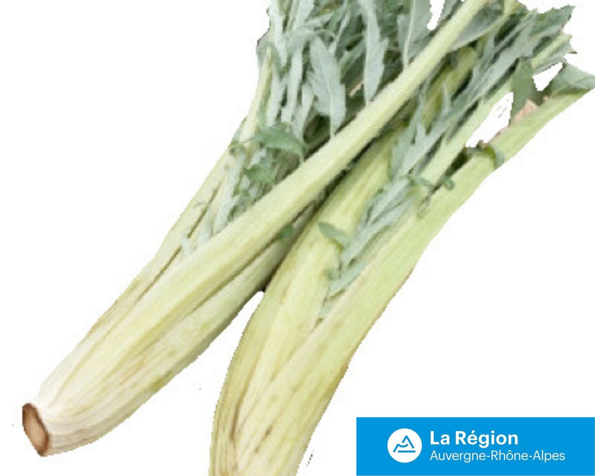 Légumes | Maison Jasserand